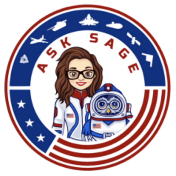 Ask Sage reviews 2026