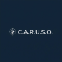 C.A.R.U.S.O. CARUSO vs Functionize: Agentic Test Automation for ...