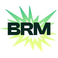 BRM reviews, pricing and features 2025 | PeerSpot
