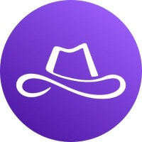 Lasso Security reviews, pricing and features 2025 | PeerSpot